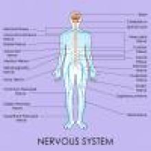 Diabetic Neuropathy Tests | Diabetic Neuropathy Diagnosis